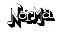 NORMA Acoustic Guitar Models
