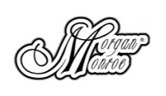 MORGAN MONROE Acoustic Guitar Models