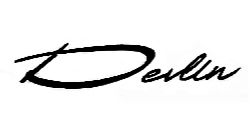 DEVLIN Electric Guitar Models