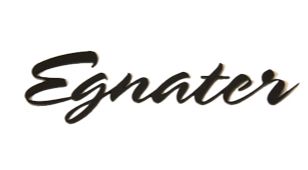 EGNATER Guitar Amplifier Models