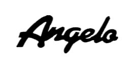 ANGELO Electric Guitar Models
