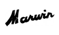 MARWIN Acoustic Guitar Models