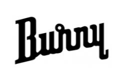 BURNY Electric Guitar Models