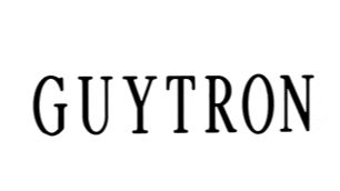 GUYTRON Guitar Amplifier Models