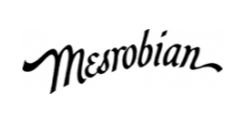 MESROBIAN Electric Guitar Models