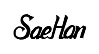 SAEHAN Acoustic Guitar Models