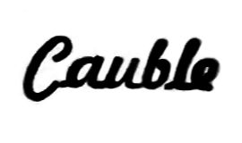 CAUBLE AMPLIFICATION Guitar Amplifier Models