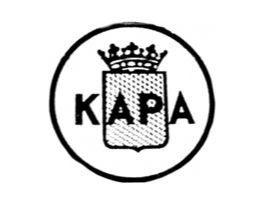 KAPA Electric Guitar Models