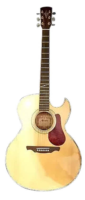 ALVAREZ AD 90SCK for sale - Price and Used Value